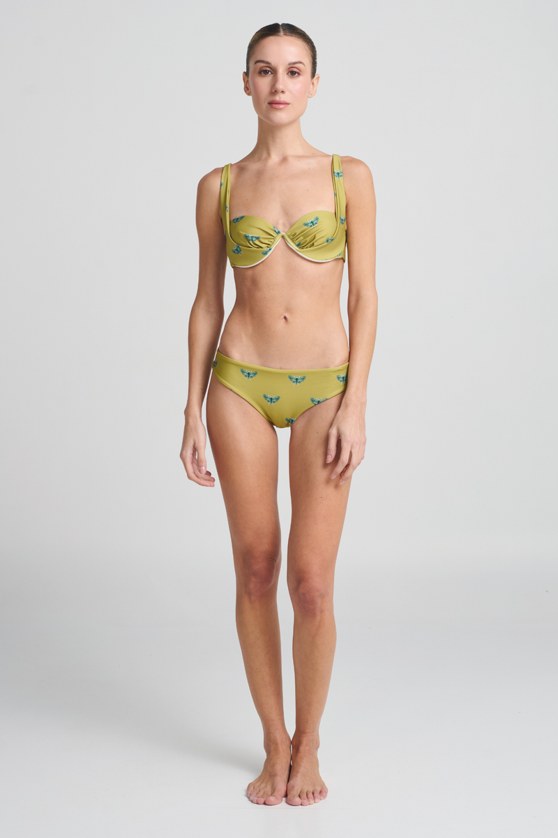 Siraya Bottom – Solemar CR